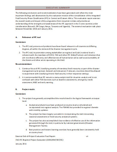 Project Evaluation Report Template