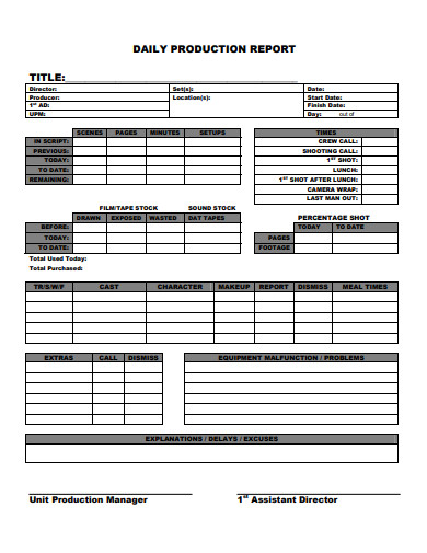 10+ Production Daily Report Templates in Word | Google Docs | Apple ...