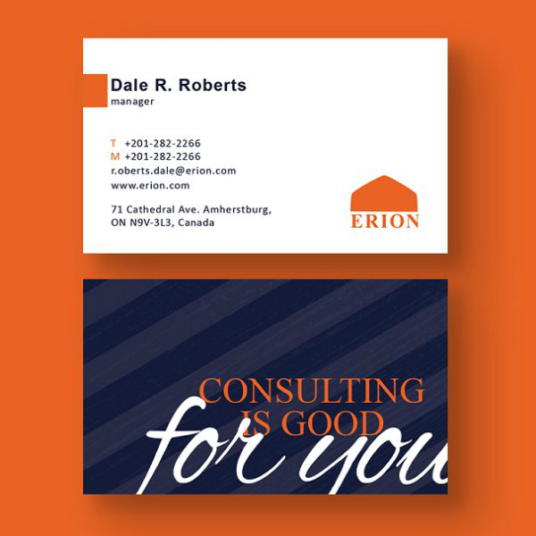 10+ Financial Business Card Templates - Illustrator, MS Word, Pages ...