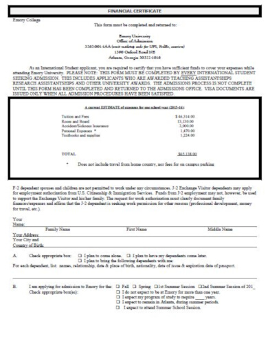 9+ Financial Certificate Templates - PDF, DOCX