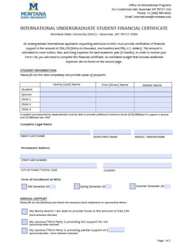 9+ Financial Certificate Templates - PDF, DOCX