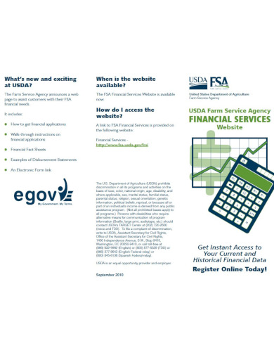 10+ Financial Service Brochure Templates - PDF