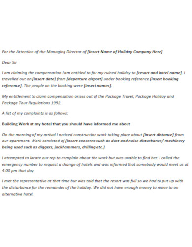 13+ Free Travel Complaint Letter Templates - Word, PDF