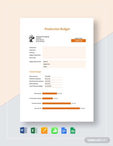 11+ Production Budget Templates - Google Docs, Google Sheets, PDF ...