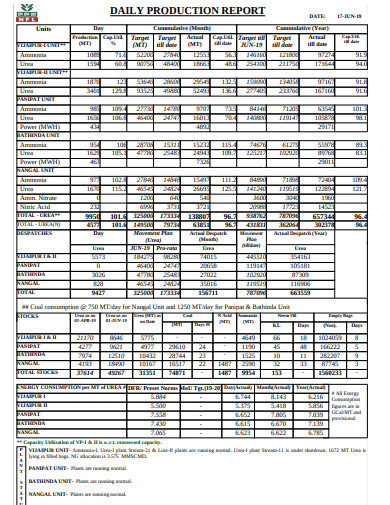 10+ Production Daily Report Templates in Word | Google Docs | Apple ...