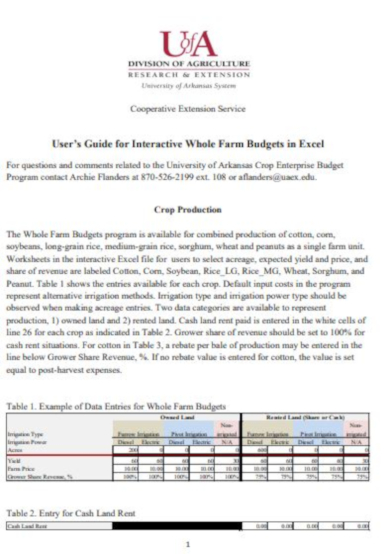 12+ Farm Budget Templates - PDF, DOC