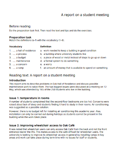 21+ Meeting Report Templates in Google Docs | Word | Pages | PDF