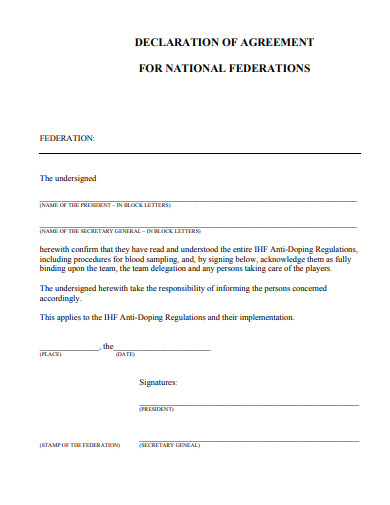 16+ Declaration Agreement Templates - PDF