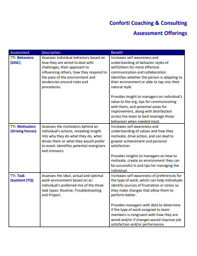 10+ Consulting Assessment Templates in PDF
