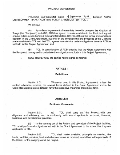 17+ Project Agreement Templates in PDF | XLS