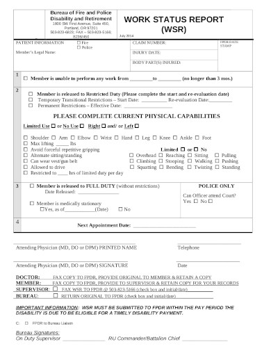 8+ Work Status Report Templates - PDF, DOC