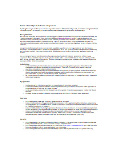 16+ Declaration Agreement Templates - PDF