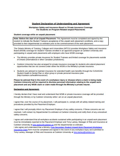 16+ Declaration Agreement Templates - PDF