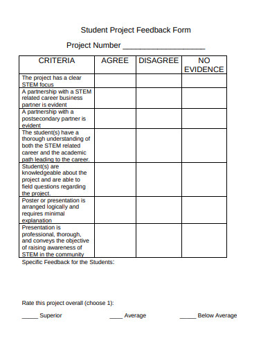 13+ Project Feedback Templates - PDF