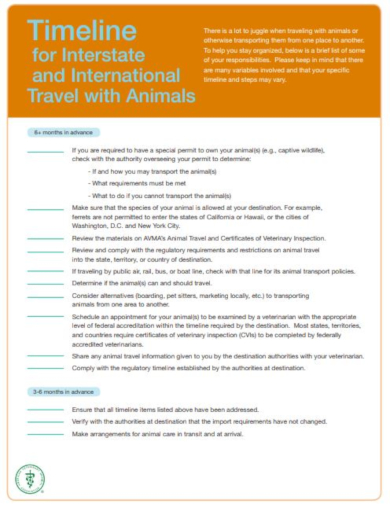 10+ Travel Timeline Templates - PDF, DOCX