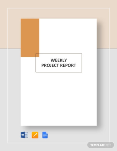 11+ Project Report Templates - PDF, Word