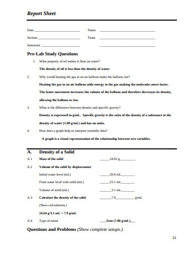 19+ Report Sheet Templates in Google Docs | Pages | PDF | DOC | XLS