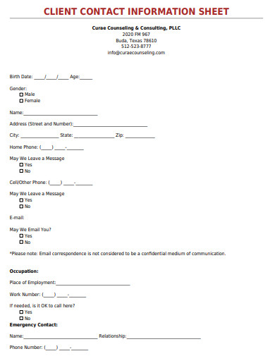 20+ Client Sheet Templates in Google Docs | Word | Pages | PDF | Google ...