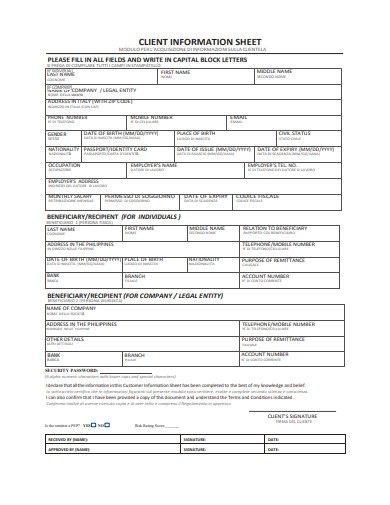 20+ Client Sheet Templates in Google Docs | Word | Pages | PDF | Google ...