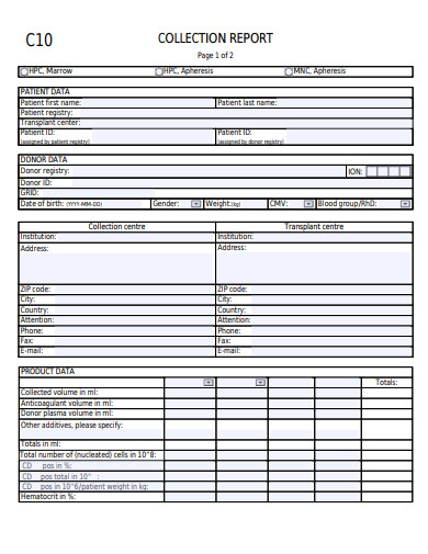 9+ Collection Report Templates in Google Docs | Word | Pages | PDF | XLS