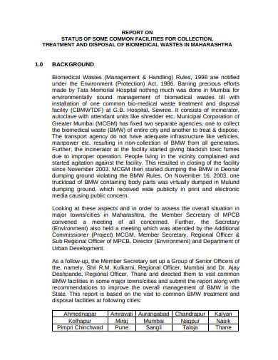 9+ Collection Report Templates in Google Docs | Word | Pages | PDF | XLS