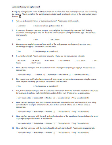 14+ Customer Satisfaction Questionnaire Templates in PDF | DOC