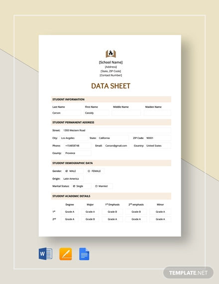 31+ Data Sheet Templates - Word, PDF, Google Docs, Apple Pages
