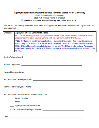 FREE 19+ Consultant Form Templates in PDF