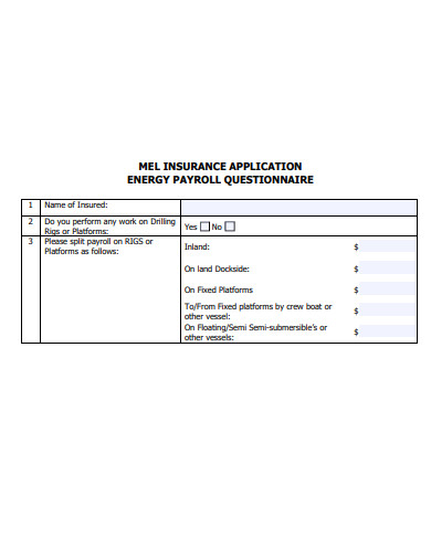 8+ Payroll Questionnaire Templates in PDF | DOC