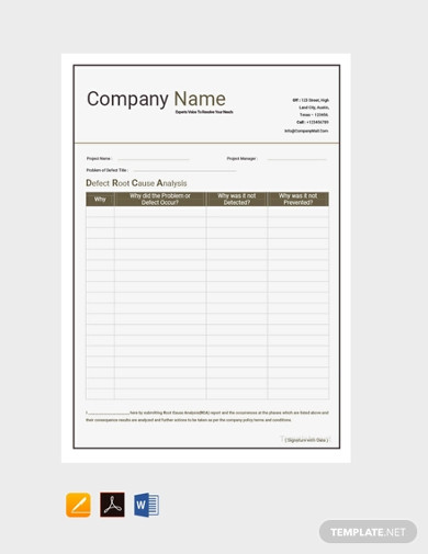 4+ Defect Analysis Templates - PDF, Docs, Pages, Word