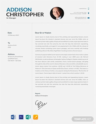 13+ Senior Resume Templates in Word | Pages | PSD | Publisher | In ...