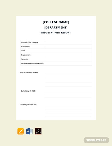 21+ Visit Report Templates - Google Docs, Pages, Word, PDF