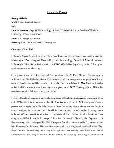 21+ Visit Report Templates - Google Docs, Pages, Word, PDF