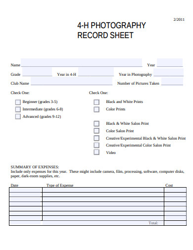 18+ Record Sheet Templates In Google Docs | Word | Pages | Pdf