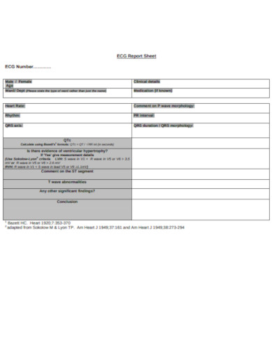 19+ Report Sheet Templates in Google Docs | Pages | PDF | DOC | XLS