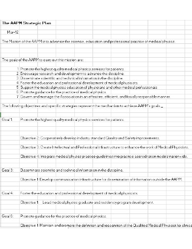 19+ Strategic Plan Templates in Google Docs | Word | Pages | PDF | XLS