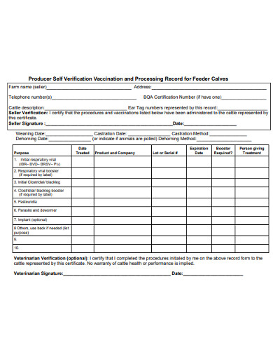 18+ Record Sheet Templates in Google Docs | Word | Pages | PDF