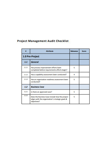 12+ Management Audit Checklist Templates - Google Docs, Word, Pages, PDF