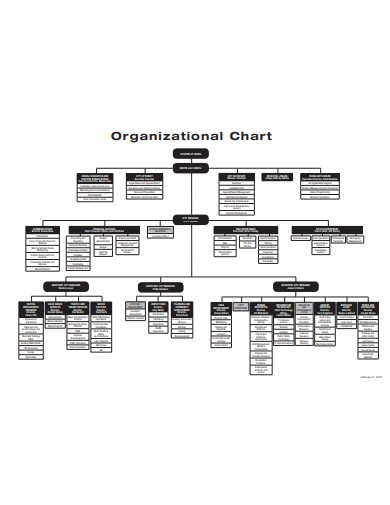24+ Organizational Chart Templates - Google Docs, Google Sheets, Excel ...