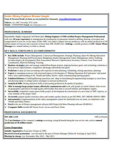 13+ Senior Resume Templates in Word | Pages | PSD | Publisher | In ...