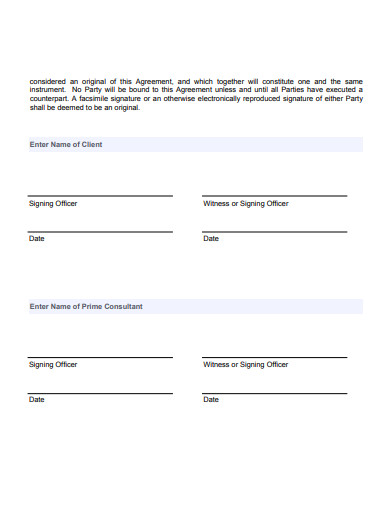 FREE 19+ Consultant Form Templates in PDF