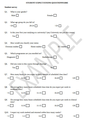 23+ Student Questionnaire Templates in Google Docs | Word | Pages | PDF