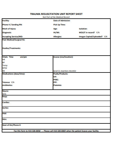 19+ Report Sheet Templates in Google Docs | Pages | PDF | DOC | XLS