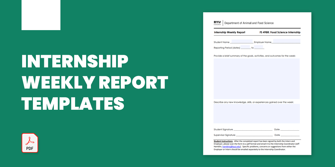 12 Internship Weekly Report Templates In PDF DOC