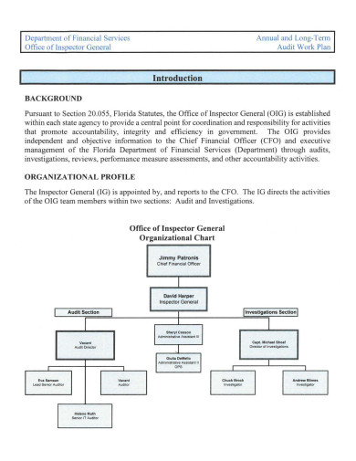 12+ Audit Work Plan Templates in PDF | DOC