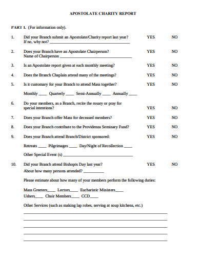 10+ Charity Report Templates in Doc | Excel | PDF