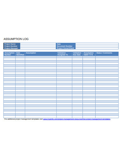 FREE 4+ Assumption Log Templates in PDF | MS Word