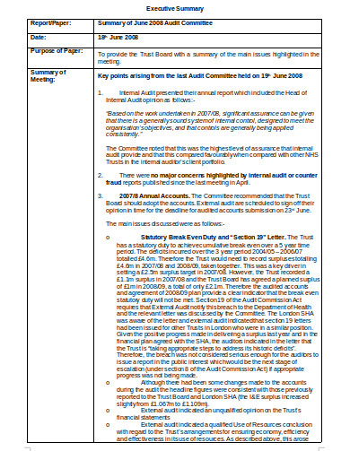 11 Audit Executive Summary Templates In PDF MS Word