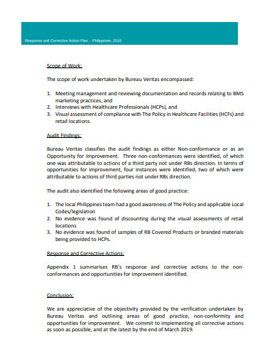 Internal Audit Corrective Action Plan Template