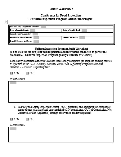 10+ Audit Worksheet Templates in PDF | DOC